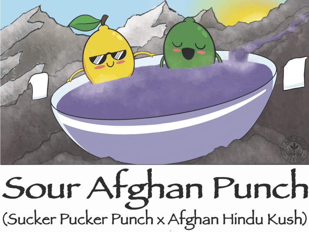 Afghan Hindu Kush Hybrid Line Stickers – The Heart & Soil Project