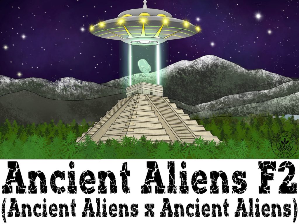 Ancient Aliens Line Stickers – The Heart & Soil Project